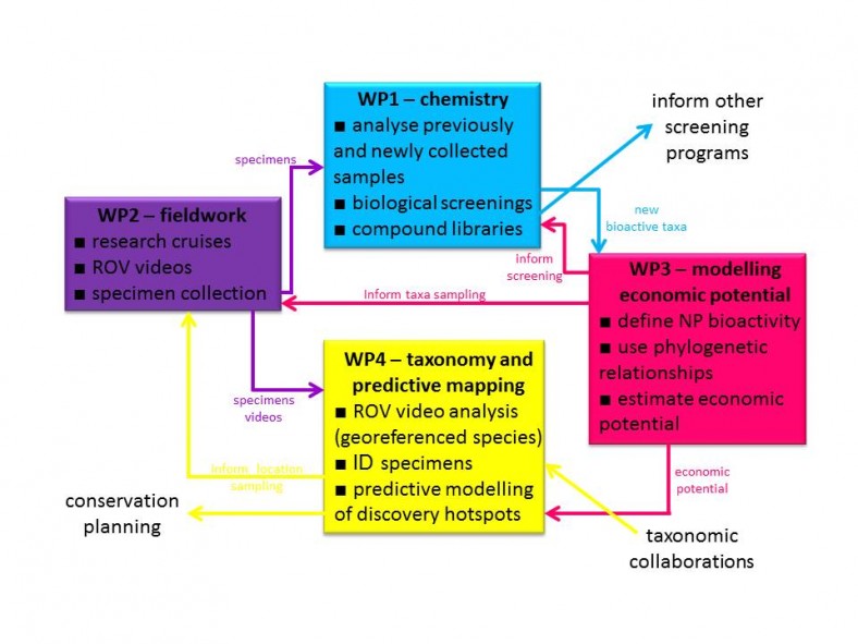 SFI Exploiting And Conserving Deep-sea Genetic Resources | Marine ...